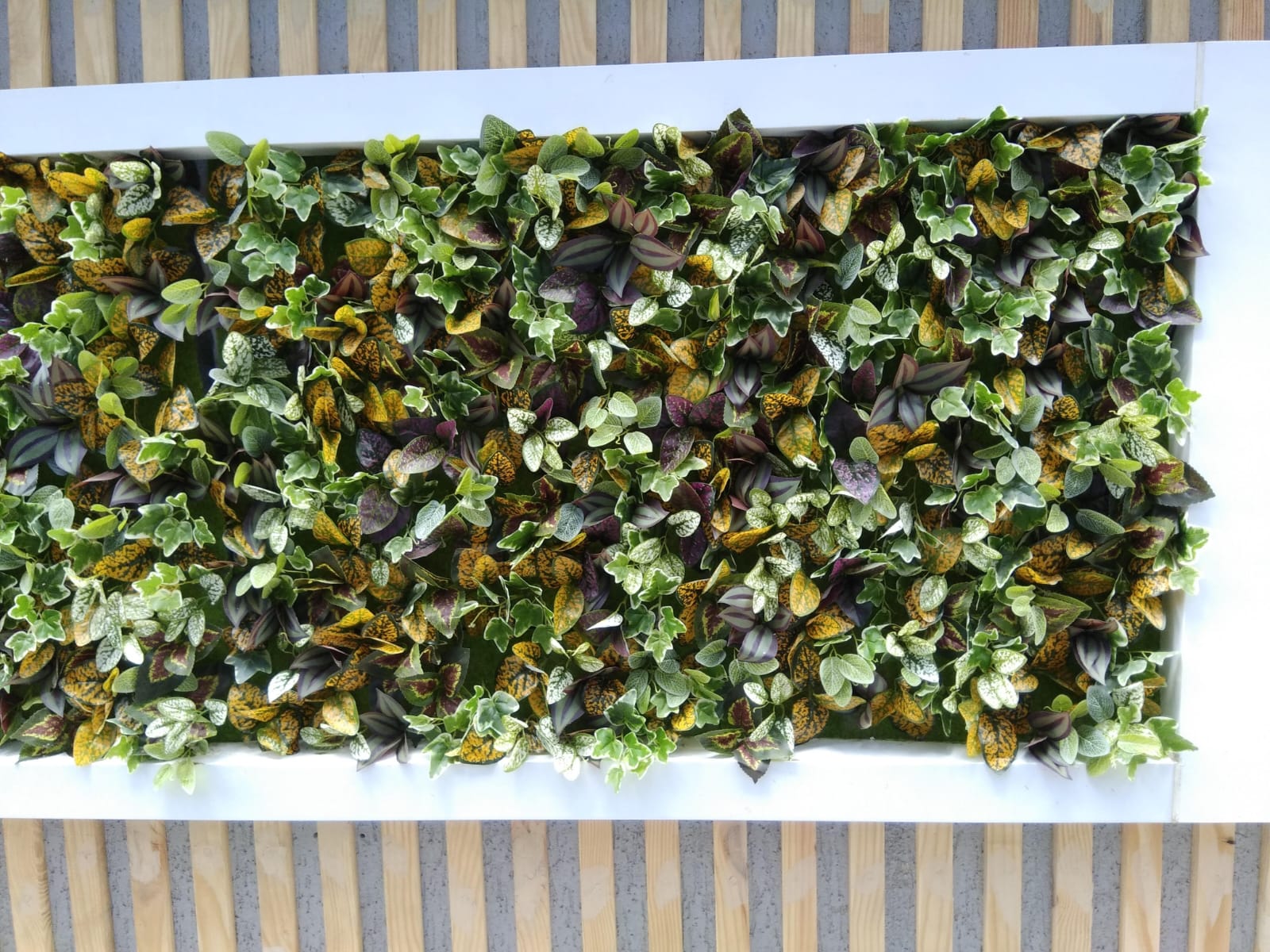 Artificial Grass – Alive Flooring